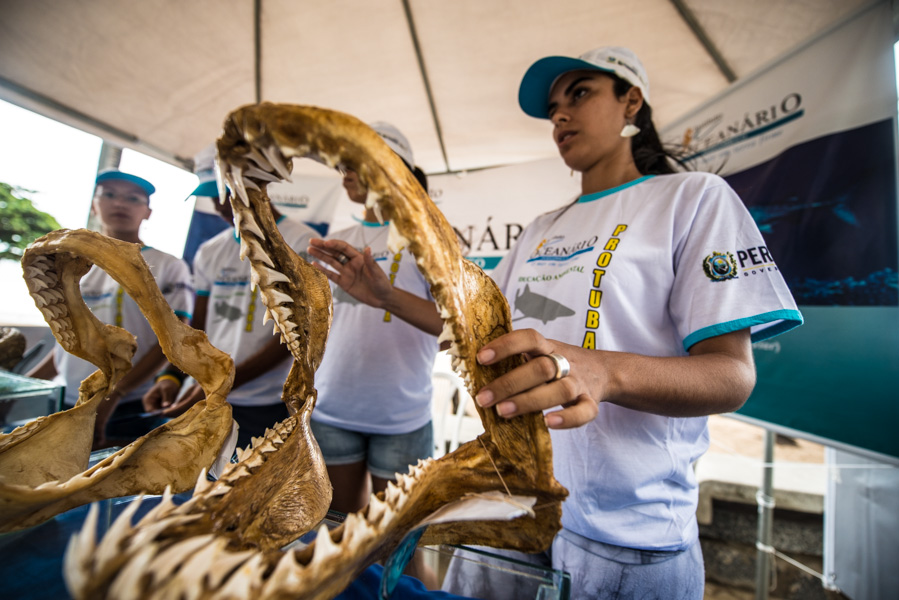 Shark: beach of fear - Fábio Nascimento